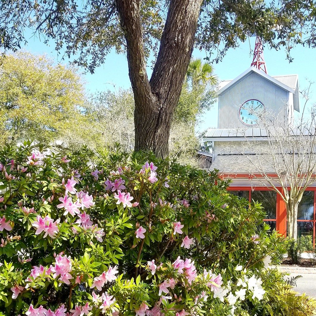 Flowers, flowers, and more flowers! The blooms around the Village are ...